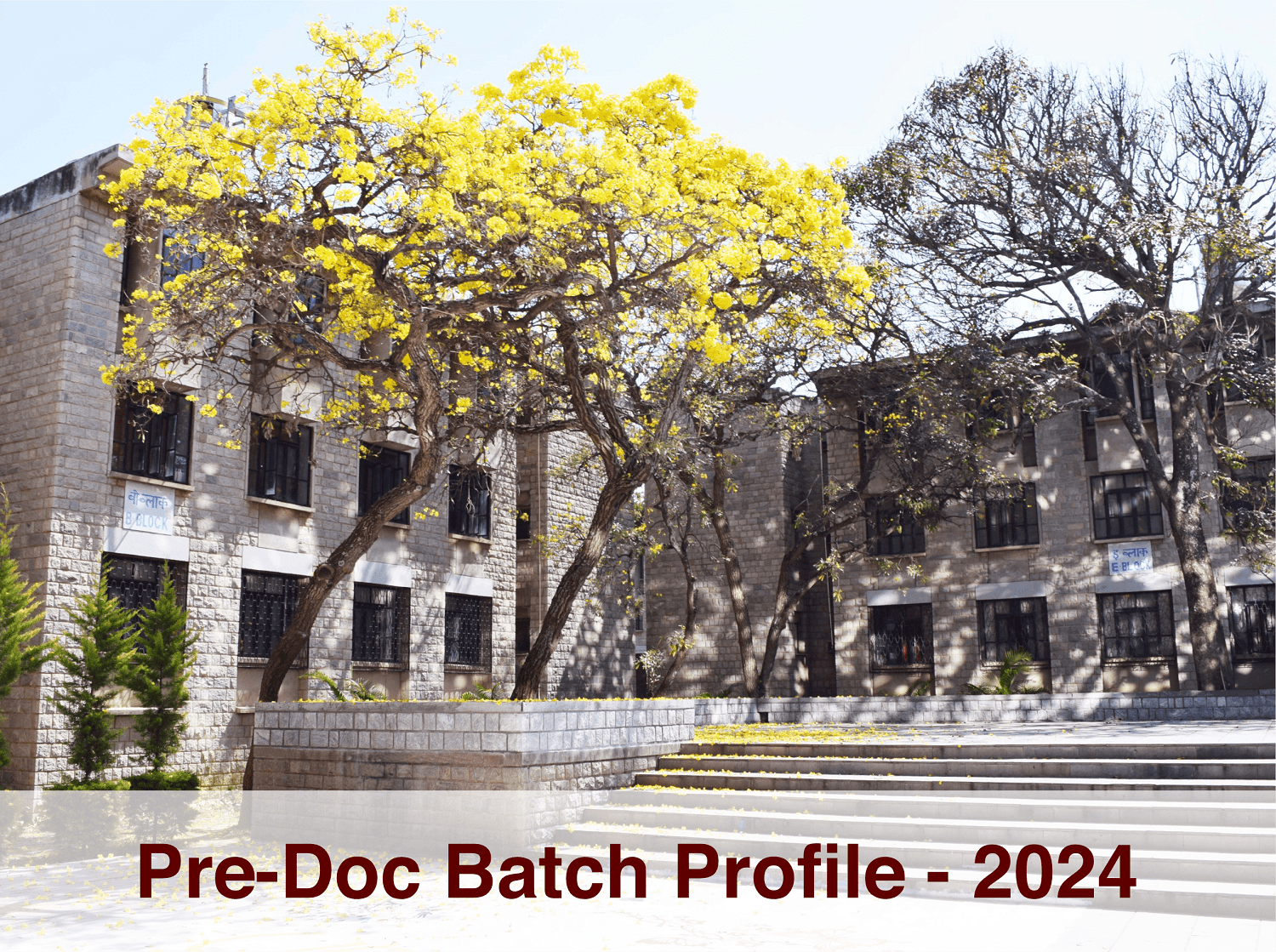 Pre-doc 2024 Batch Profile | IIM Bangalore